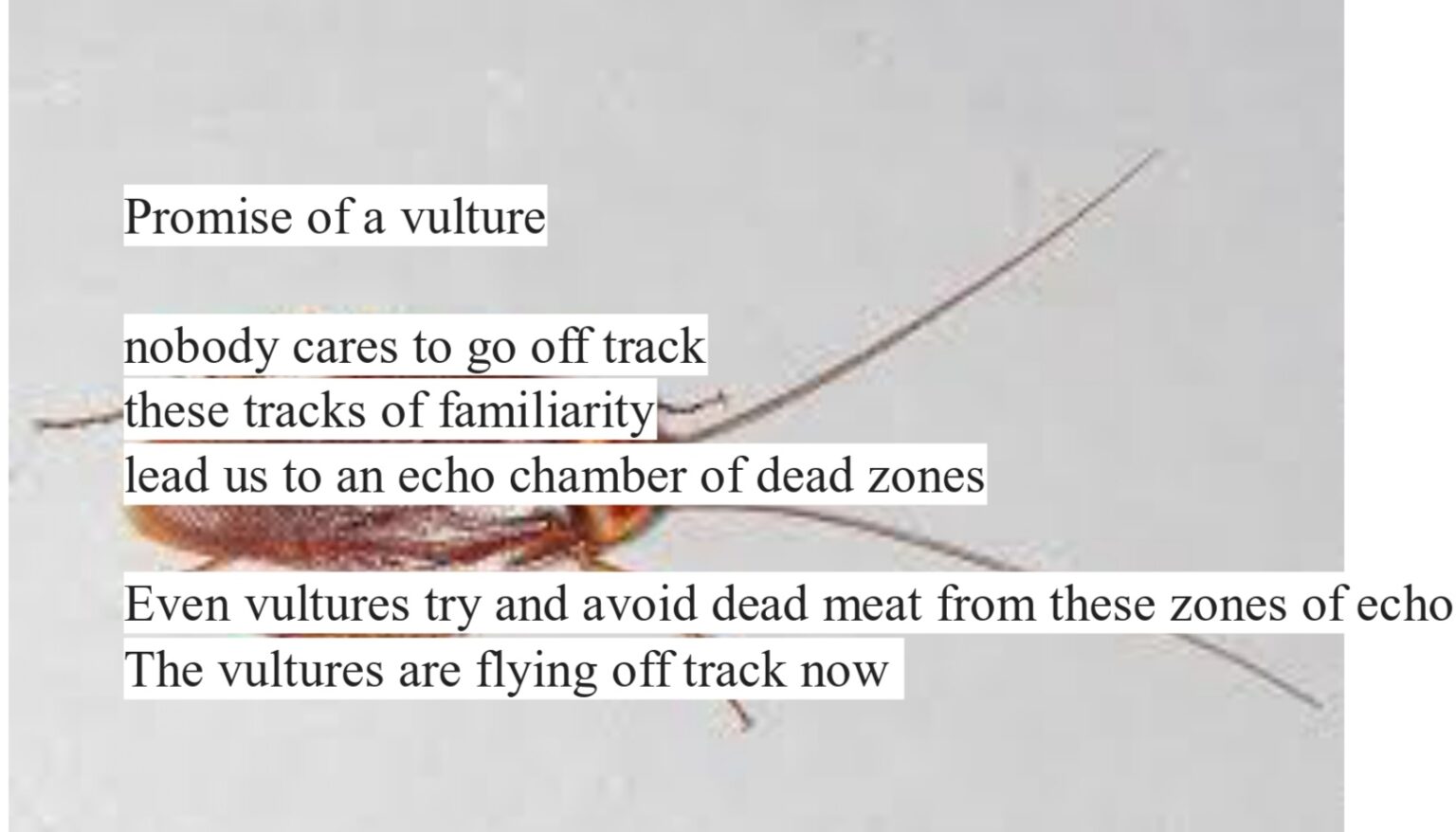 Richik Banerjee’s Two Poems – సారంగ